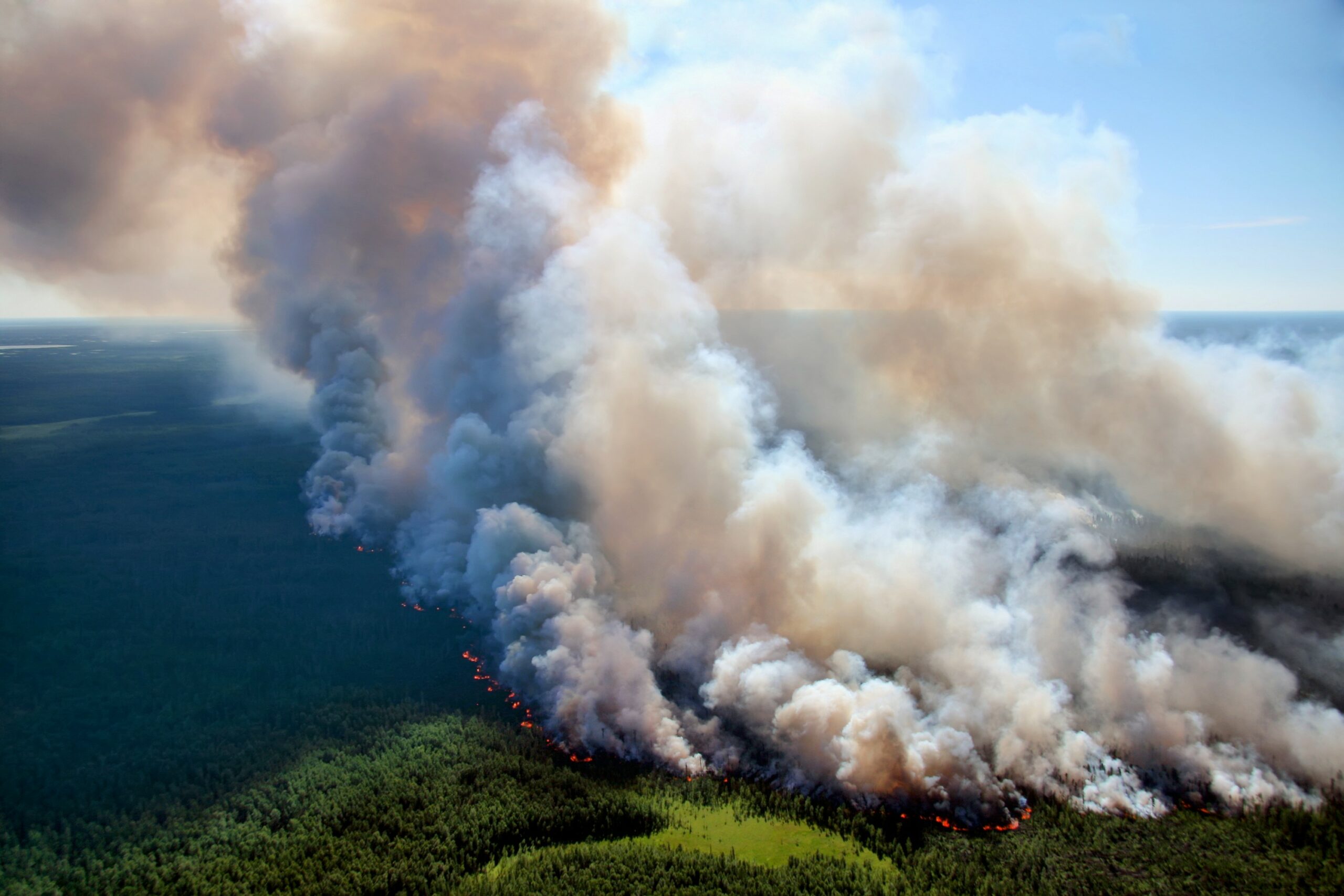 Wildfire pollution increases mortality - Earth.com