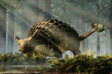 Tiny bones and teeth reveal remarkable diversity at Argentina fossil ...