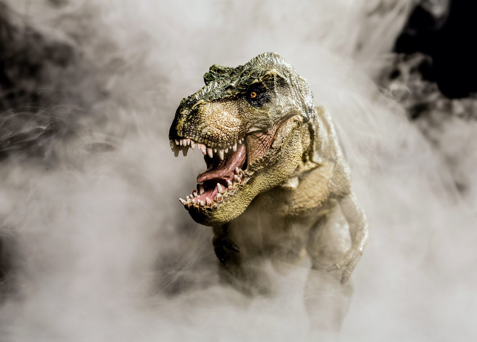 What did T. rex really look like? • Earth.com