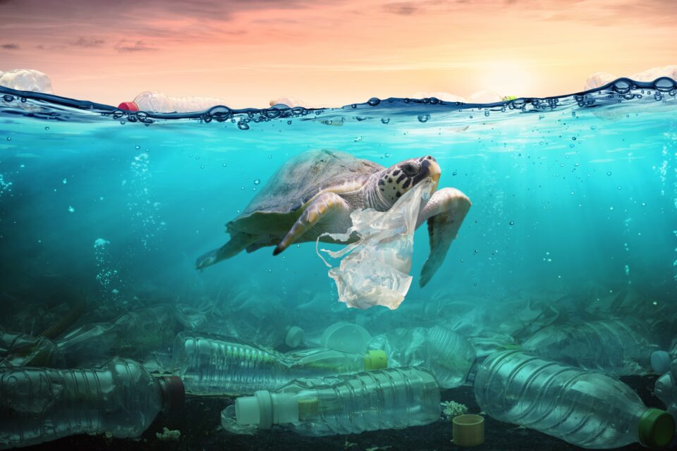 Plastic pollution and climate change are interconnected • Earth.com