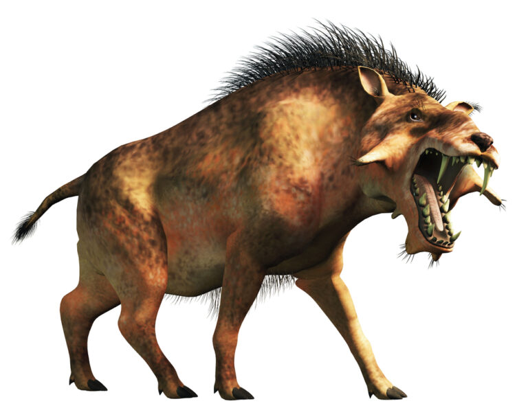 The Terrifying Biology Of Hell Pigs - Earth.com
