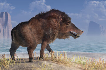 The Terrifying Biology Of Hell Pigs - Earth.com