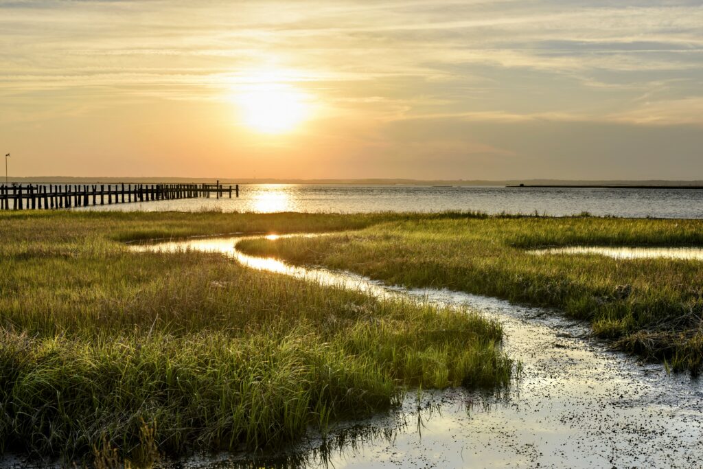 Marshes protect shorelines against inclement weather • Earth.com