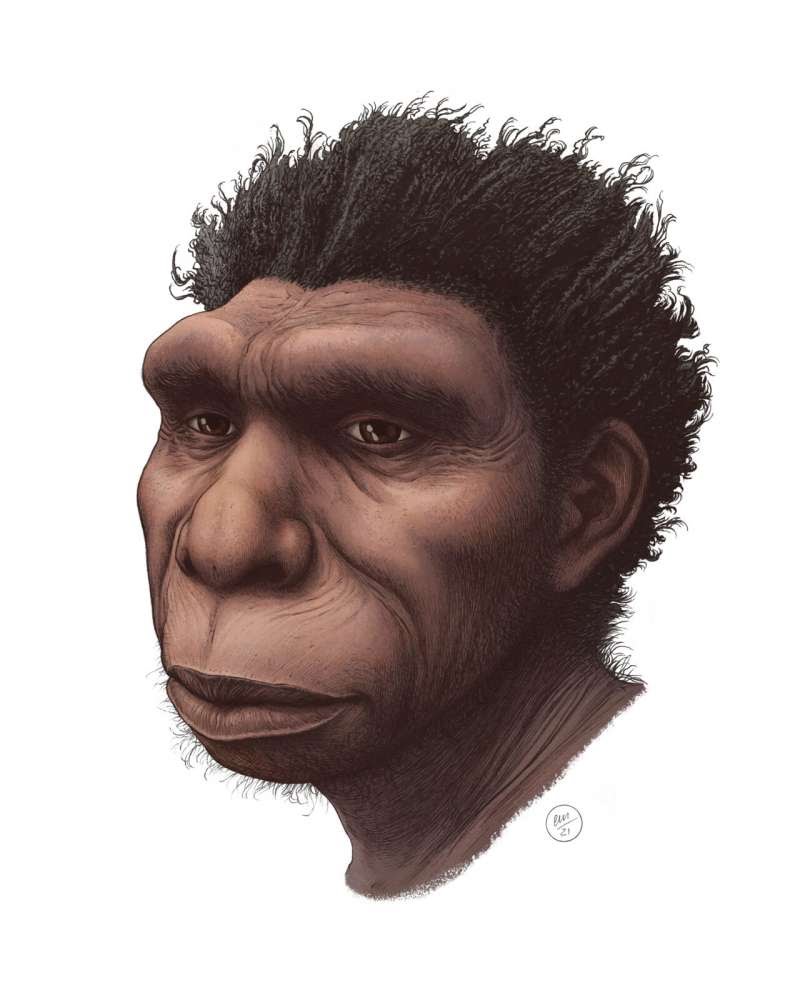 Scientists have named a new human ancestor - Earth.com