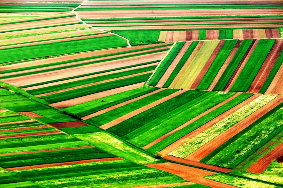 Major shift in crop production expected within 10 years • Earth.com