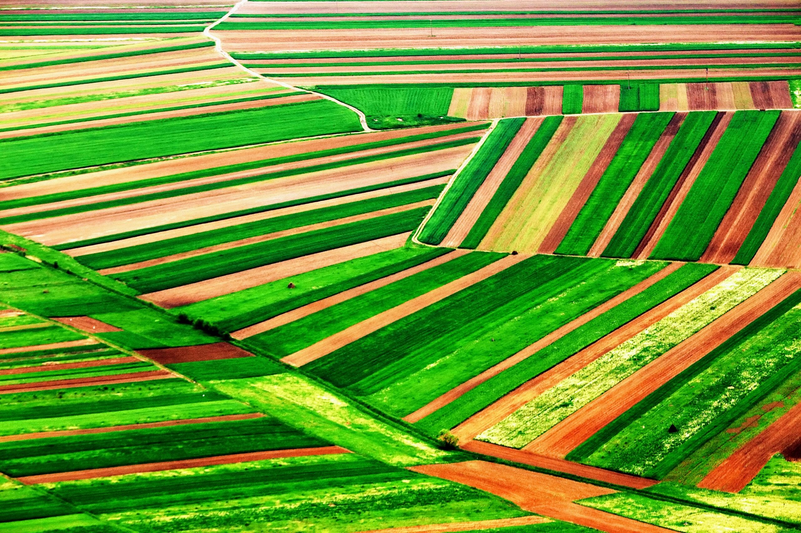 Major shift in crop production expected within 10 years - Earth.com