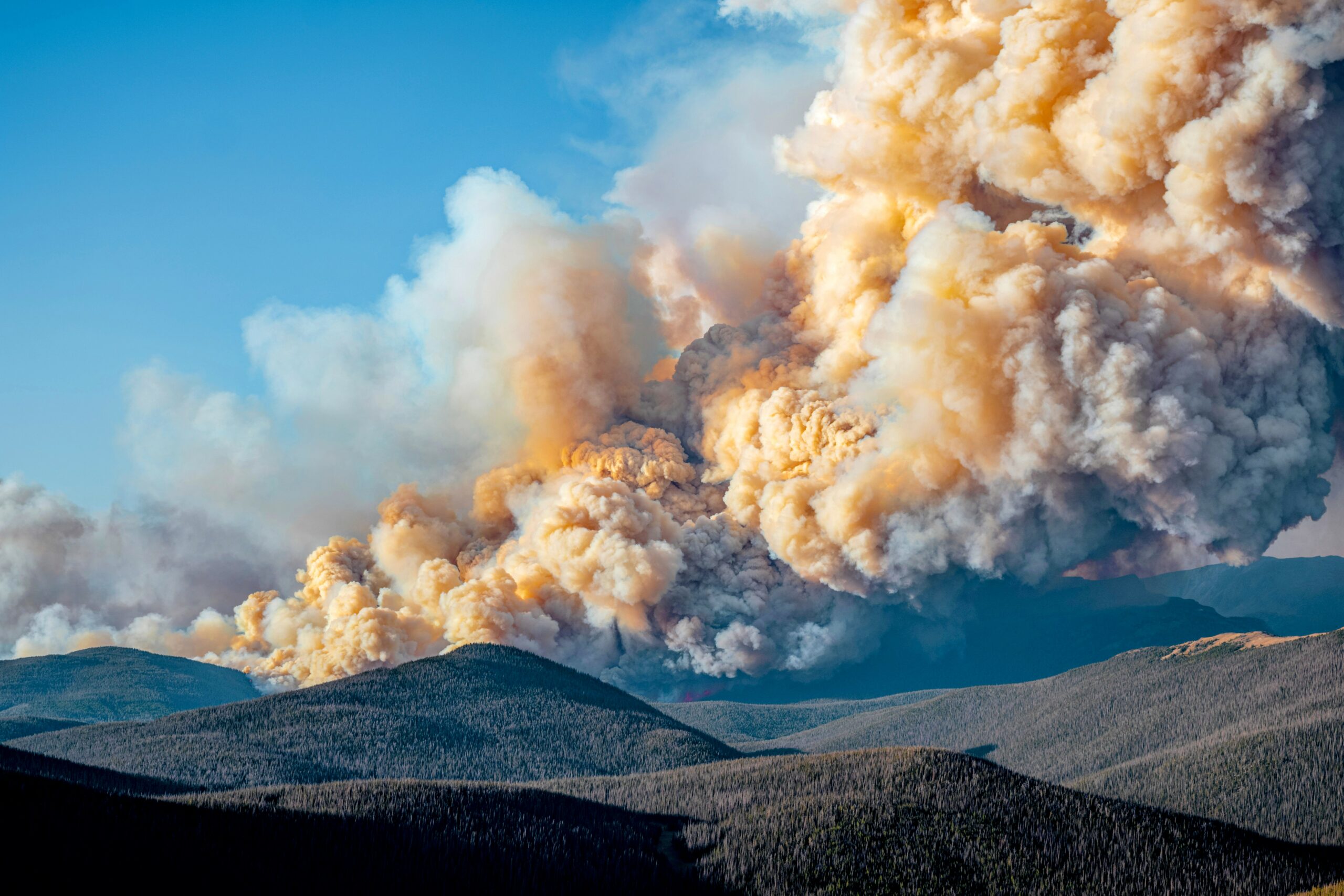 Record wildfires linked to human activity will only get worse - Earth.com