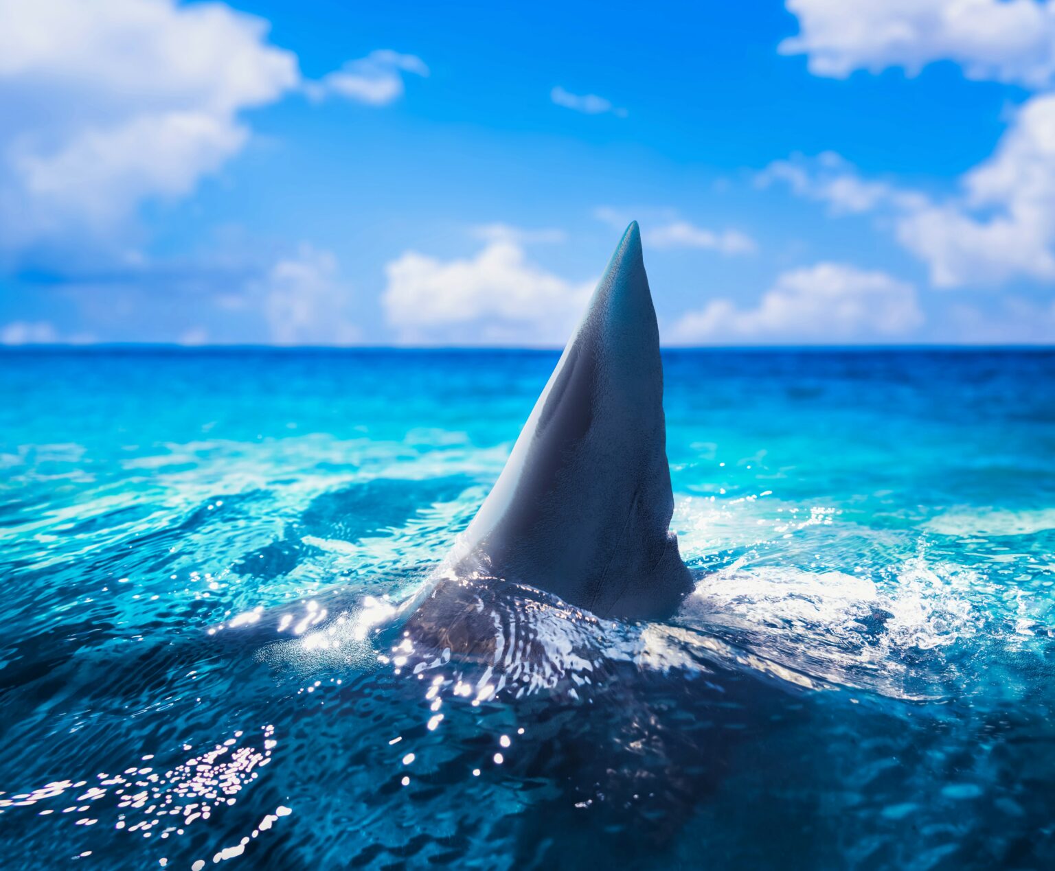 Fins and limbs share a deep evolutionary history • Earth.com