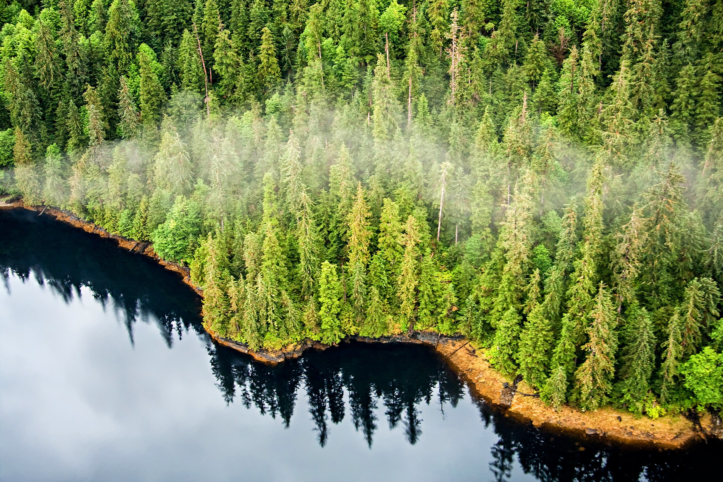 Hunters and anglers approve of new plan for the Tongass - Earth.com