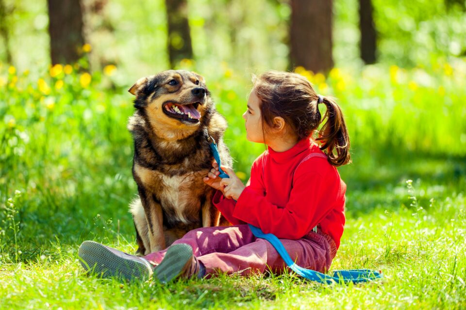 Dogs can understand up to 215 words • Earth.com