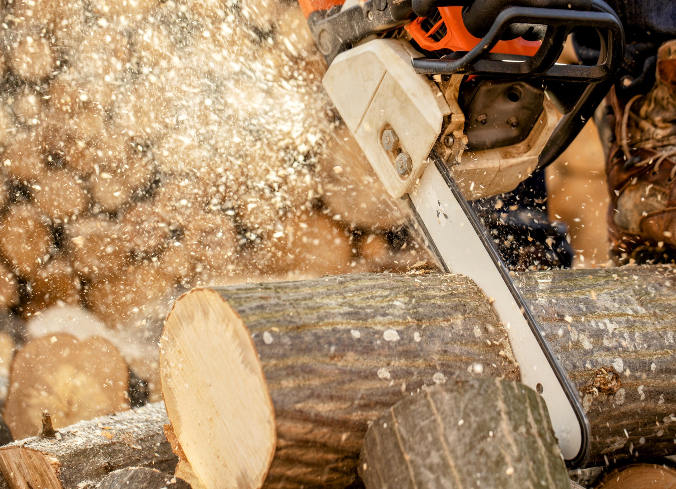Sawdust Shows Great Potential For Capturing Carbon Earth Sawdust Shows Great Potential For Capturing Carbon Earth