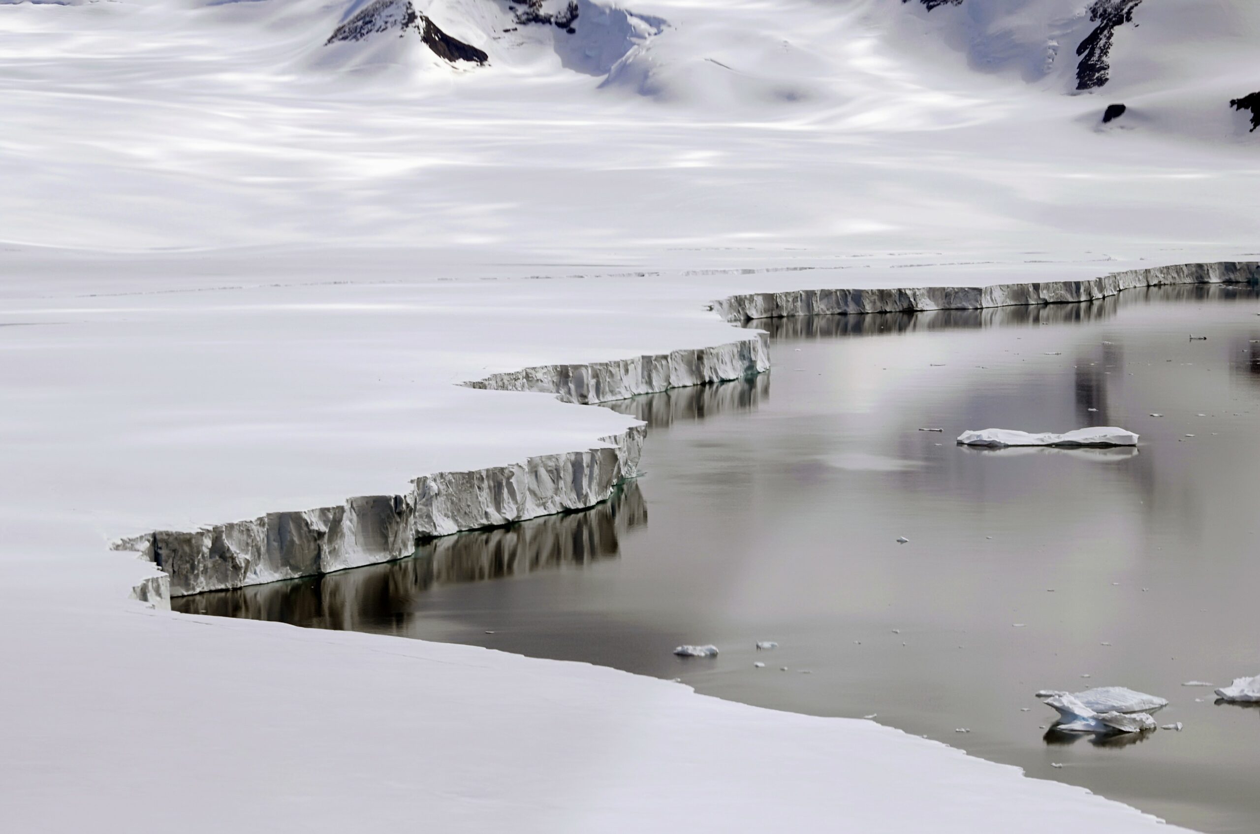 Dozens Of Species Found Thriving Under Vast Ice Sheets Earth dozens-of-species-found-thriving-under-vast-ice-sheets-earth