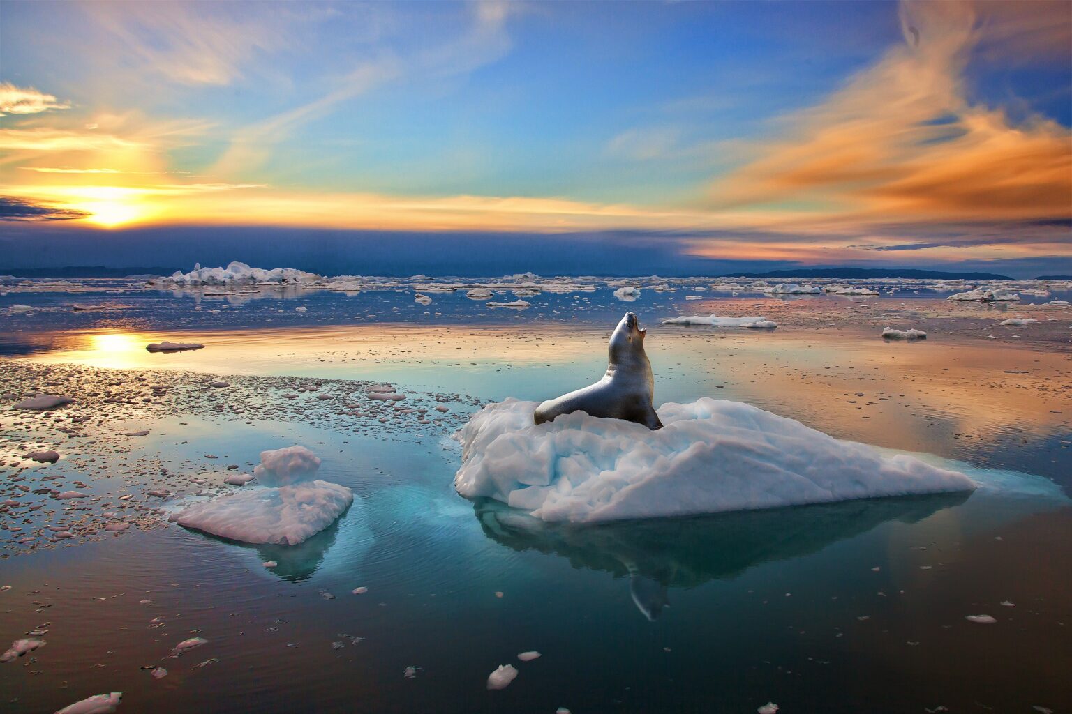 Arctic sea ice loss influences wildfires in the western US • Earth.com