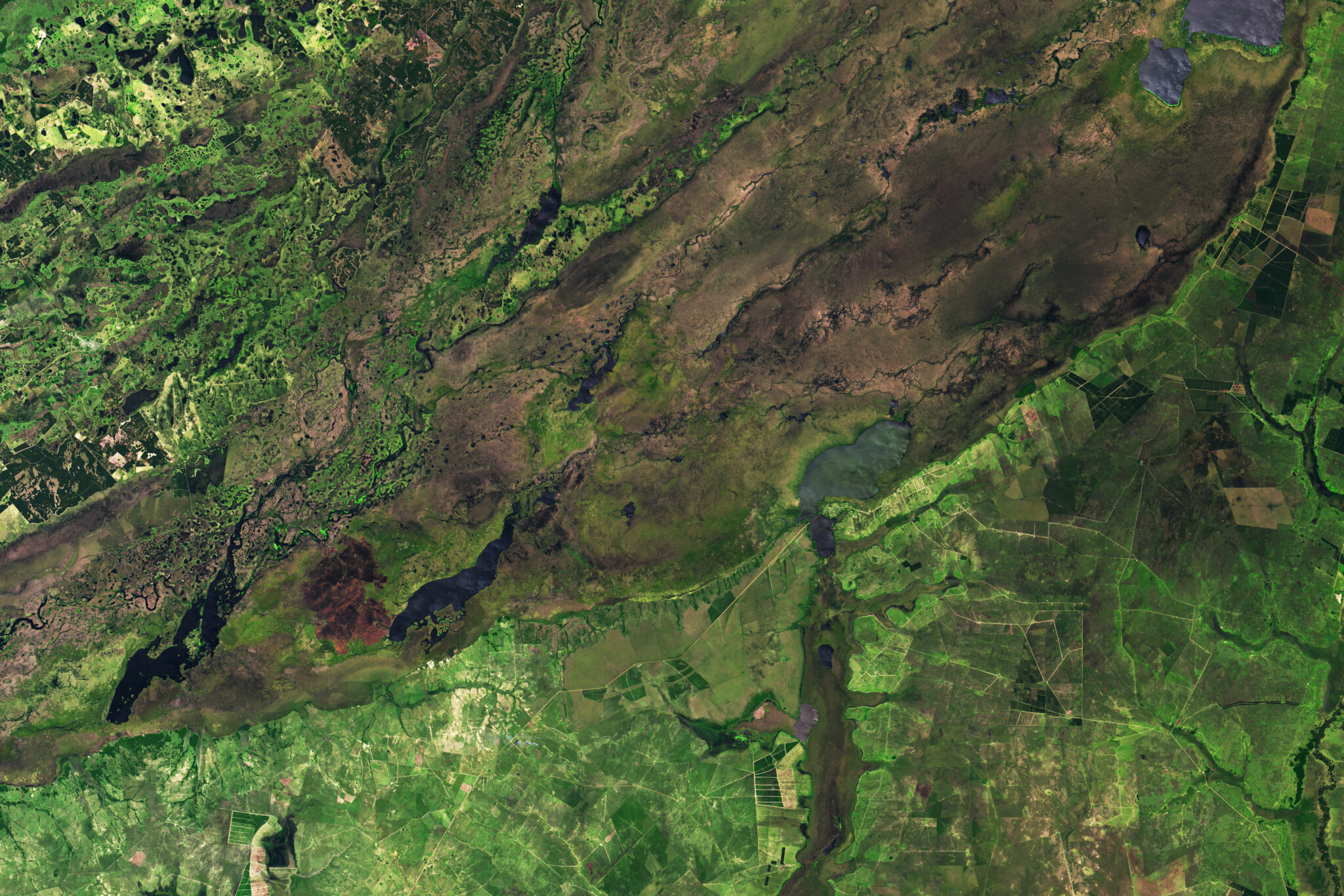 Iberá National Park in northeast Argentina - Earth.com