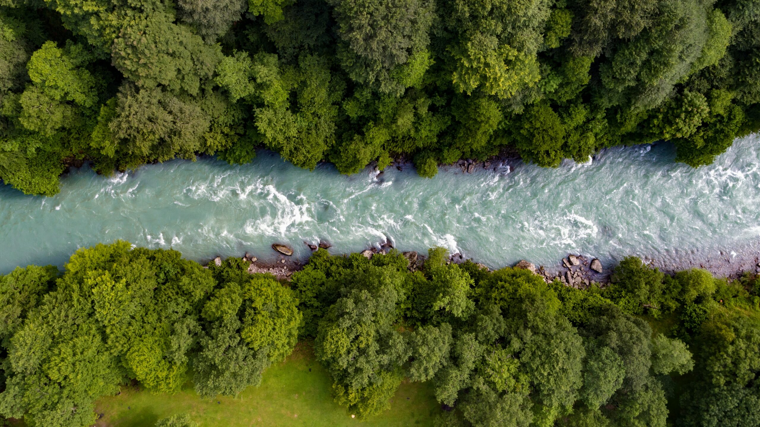 Predicting the effects of pollutants on river ecosystems - Earth.com