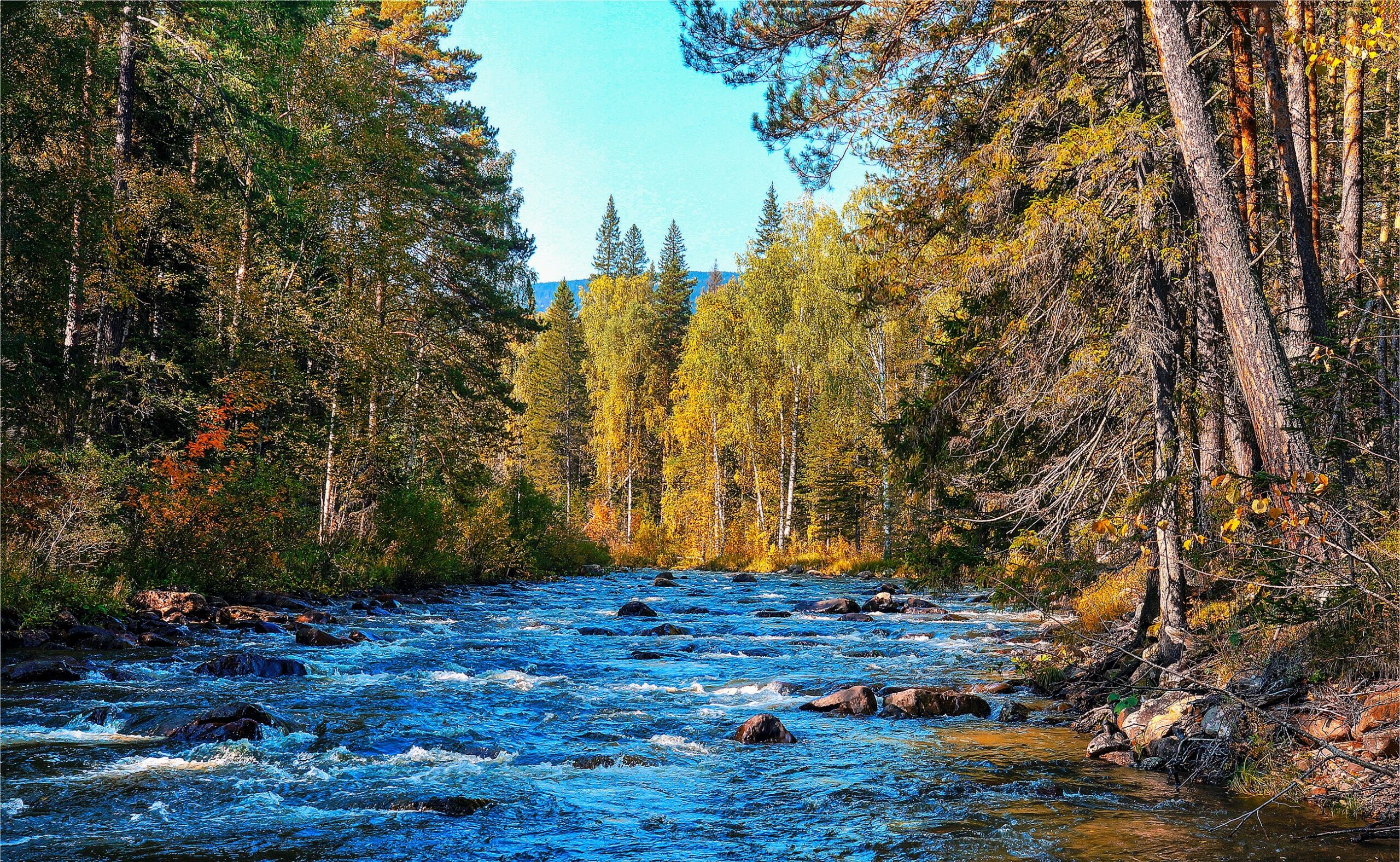 Microplastics linger in riverbeds for years - Earth.com