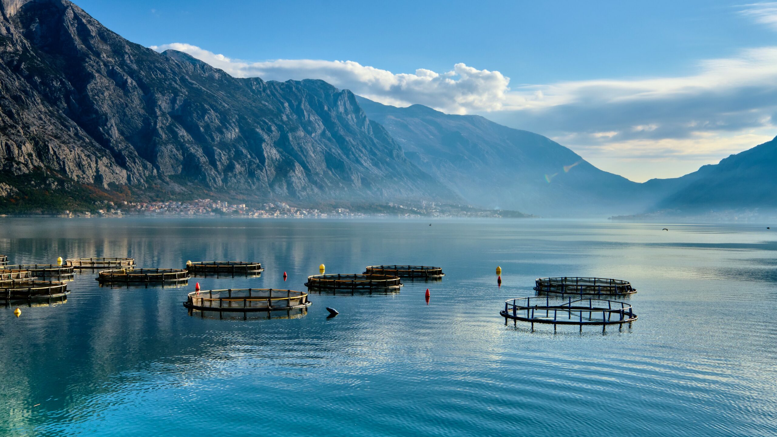 Mariculture is highly sustainable and climate friendly - Earth.com