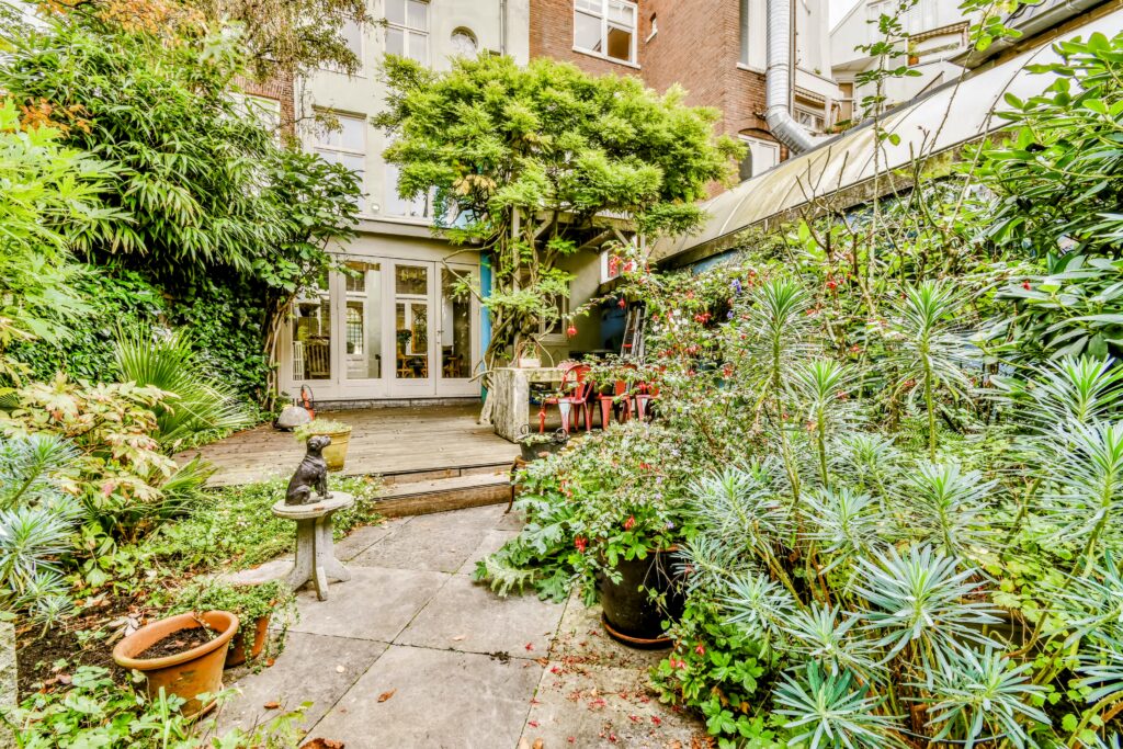 Green yards promote climate resilience in urban areas • Earth.com