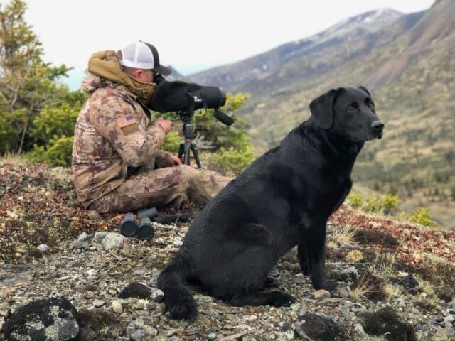 Tank the dog • Earth.com Tank the dog