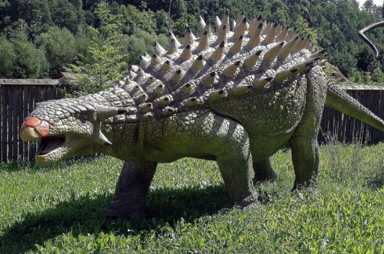 Nodosaur - Earth.com Nodosaur