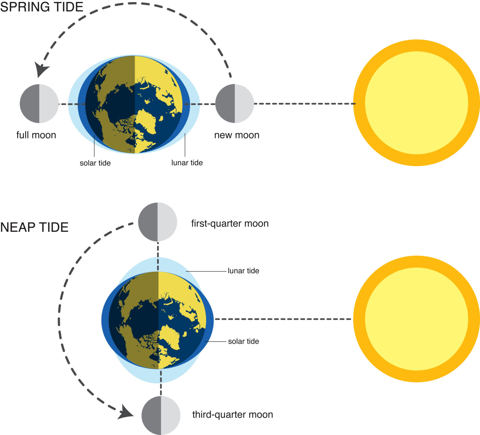 What are Moon Tides? - Earth.com