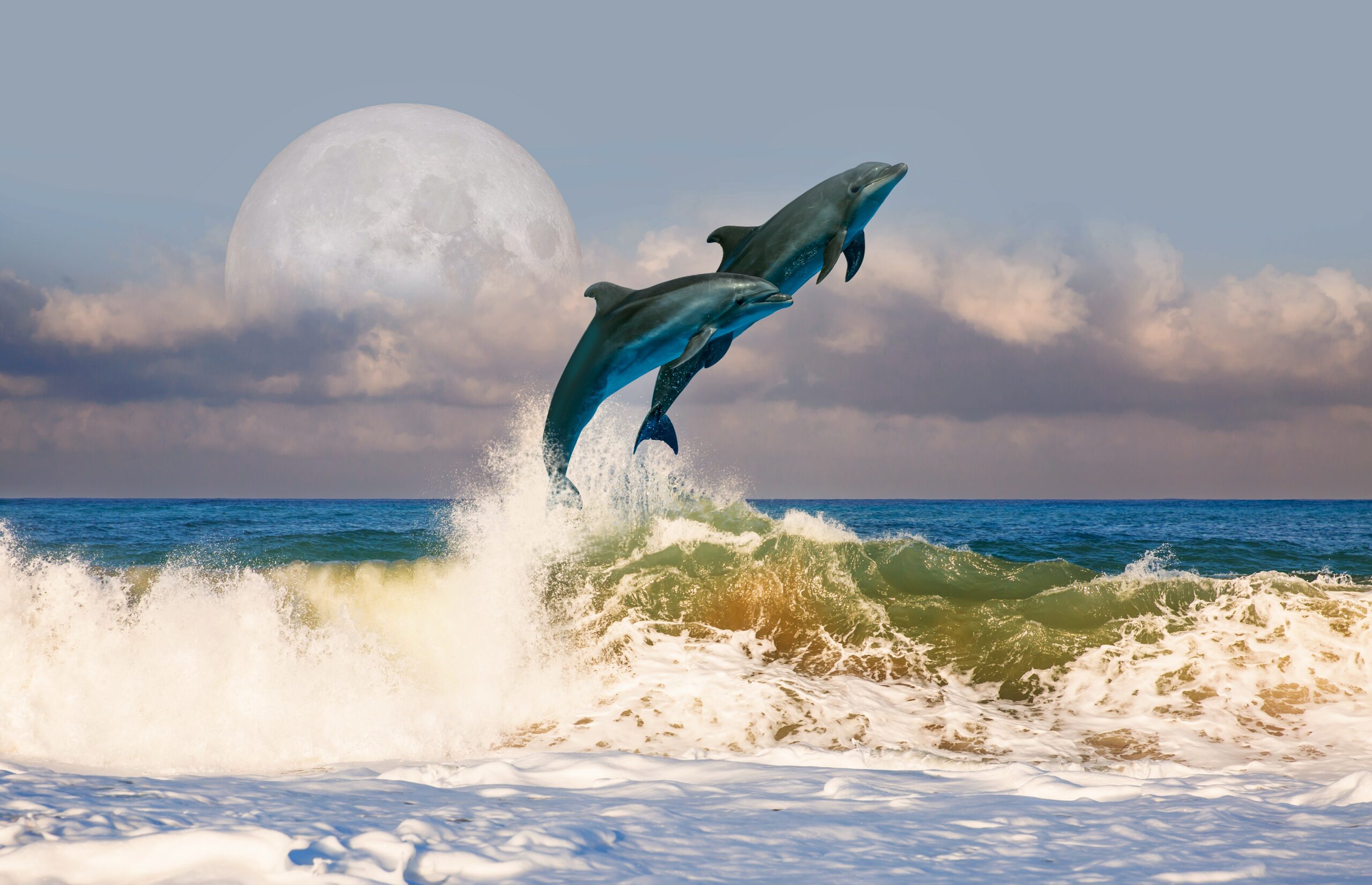 Dolphins burn energy during speedy swims for survival - Earth.com