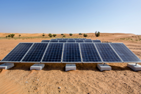Solar panels used to grow plants in the desert • Earth.com