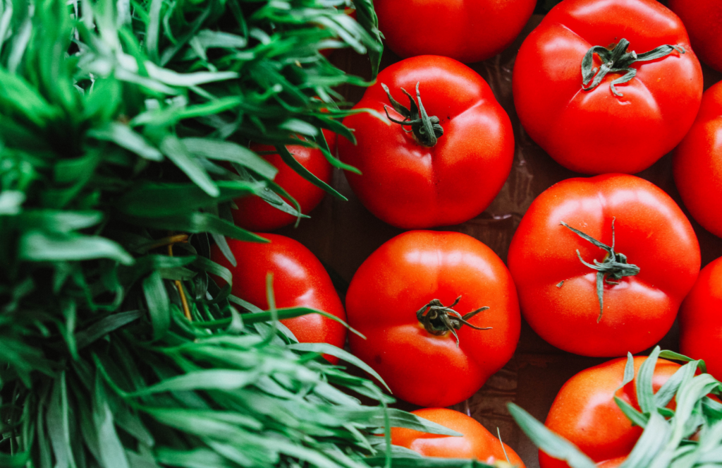 Tomato domestication was more complex than previously thought - Earth.com