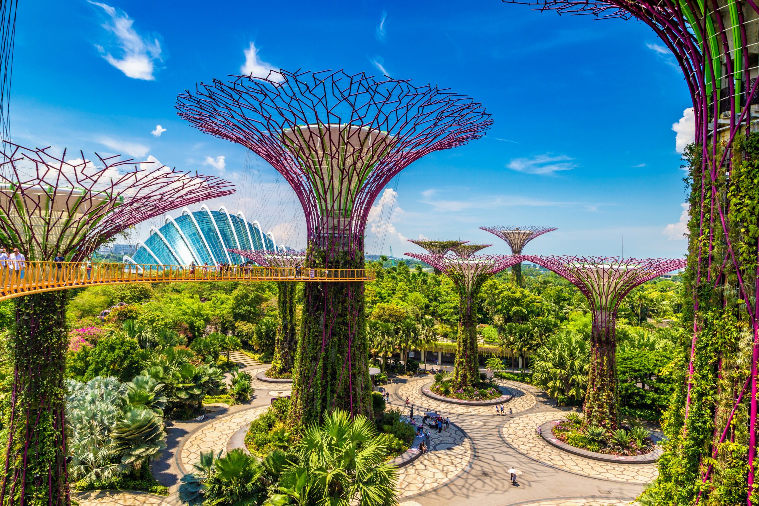 Future cities must be designed to protect biodiverse habitats - Earth.com