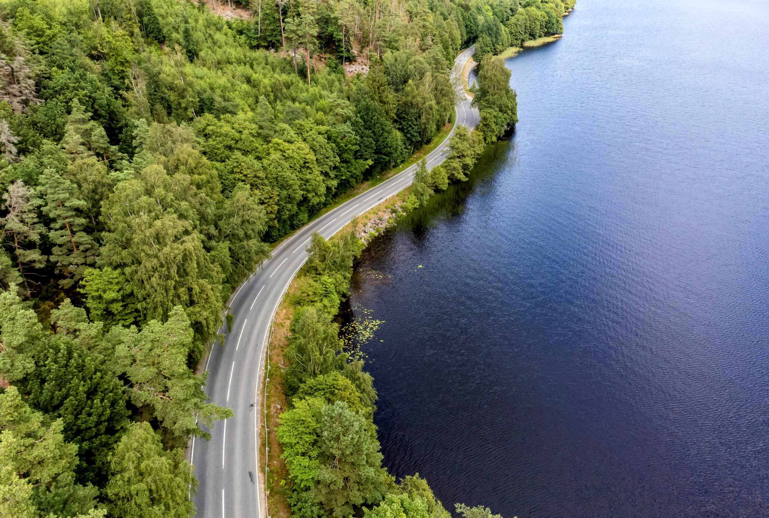 Road traffic is a major source of water pollution - Earth.com