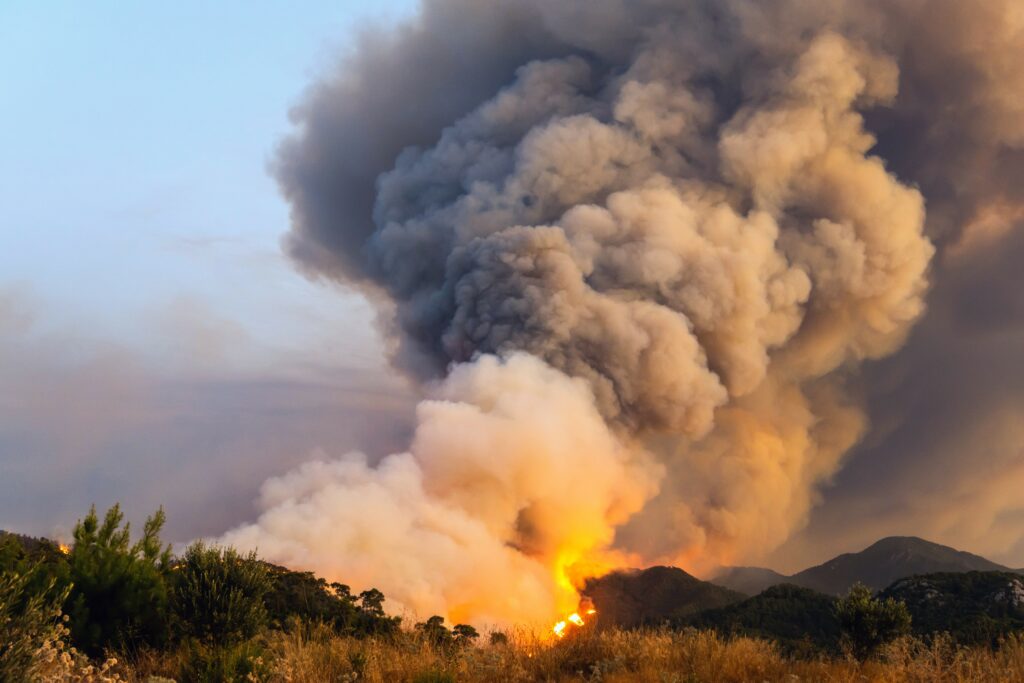 Wildfire smoke damages the ozone layer • Earth.com