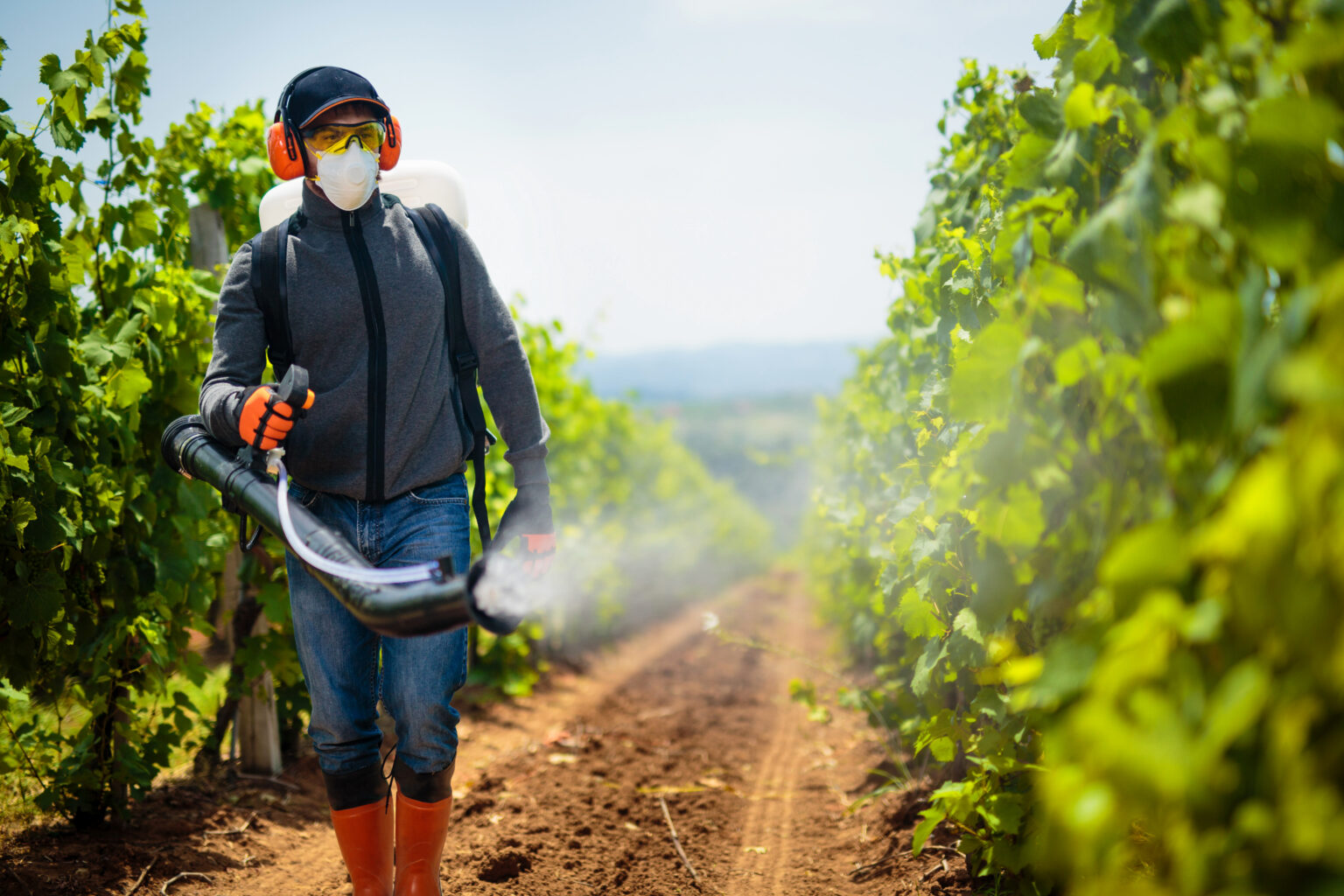 Scientists develop new tool to design safer pesticides • Earth.com