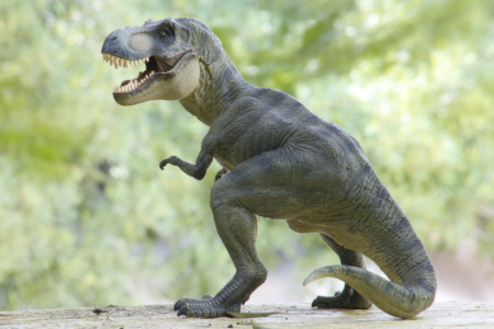 Why are Tyrannosaurus Rex’s arms so short? • Earth.com