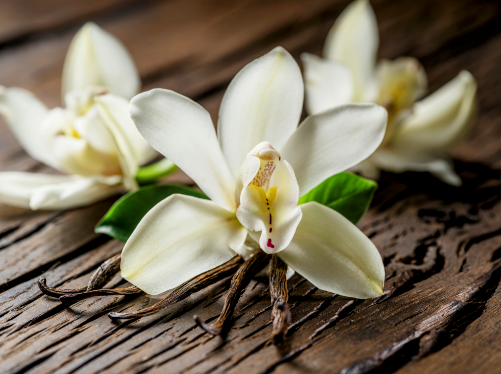 People around the world like the same smells - Earth.com