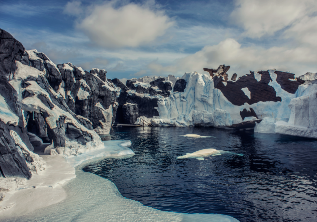 Concerning amount of plastic has reached the Arctic - Earth.com
