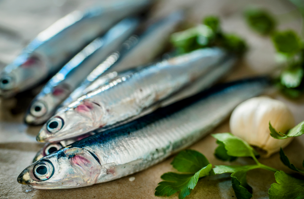 Spawning fish generate ocean mixing, help sustain a healthy ecosystem ...