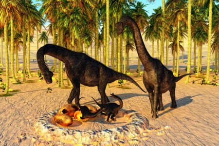 The smallest sauropod has been found in Australia • Earth.com