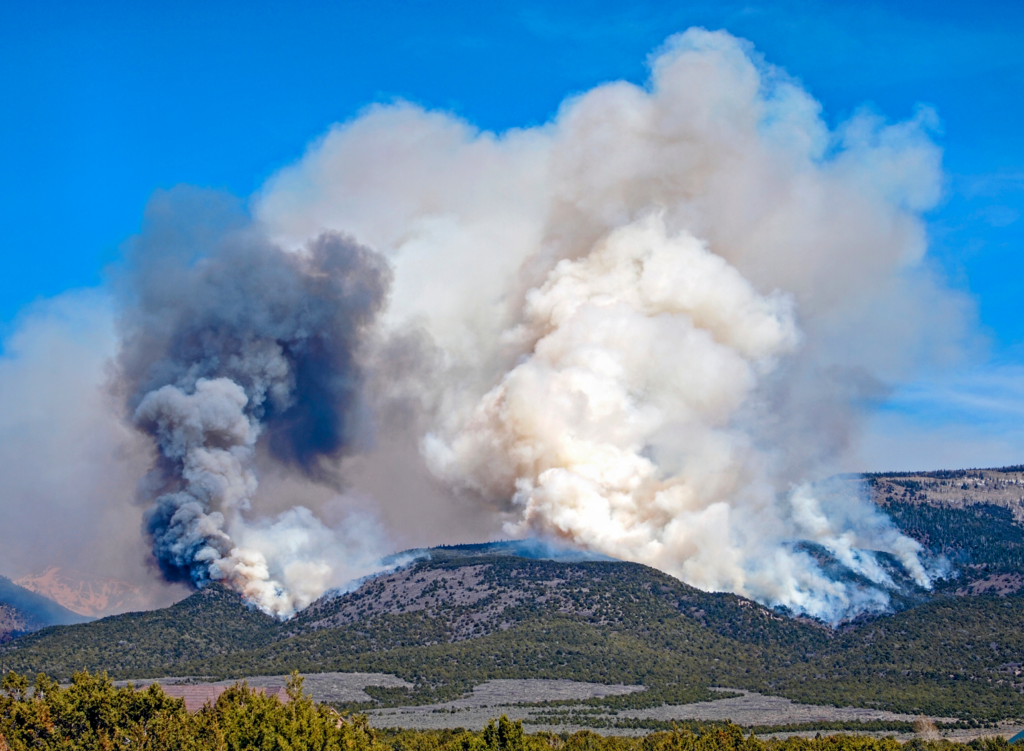 Fires in the Pacific Northwest have altered air pollution patterns ...