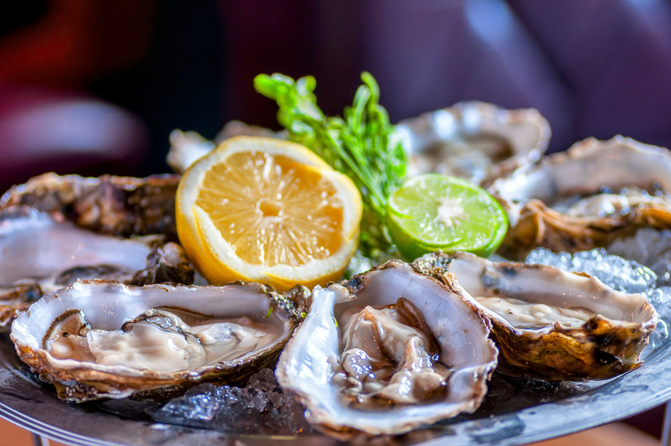 Indigenous people harvested oysters sustainably for thousands of years ...