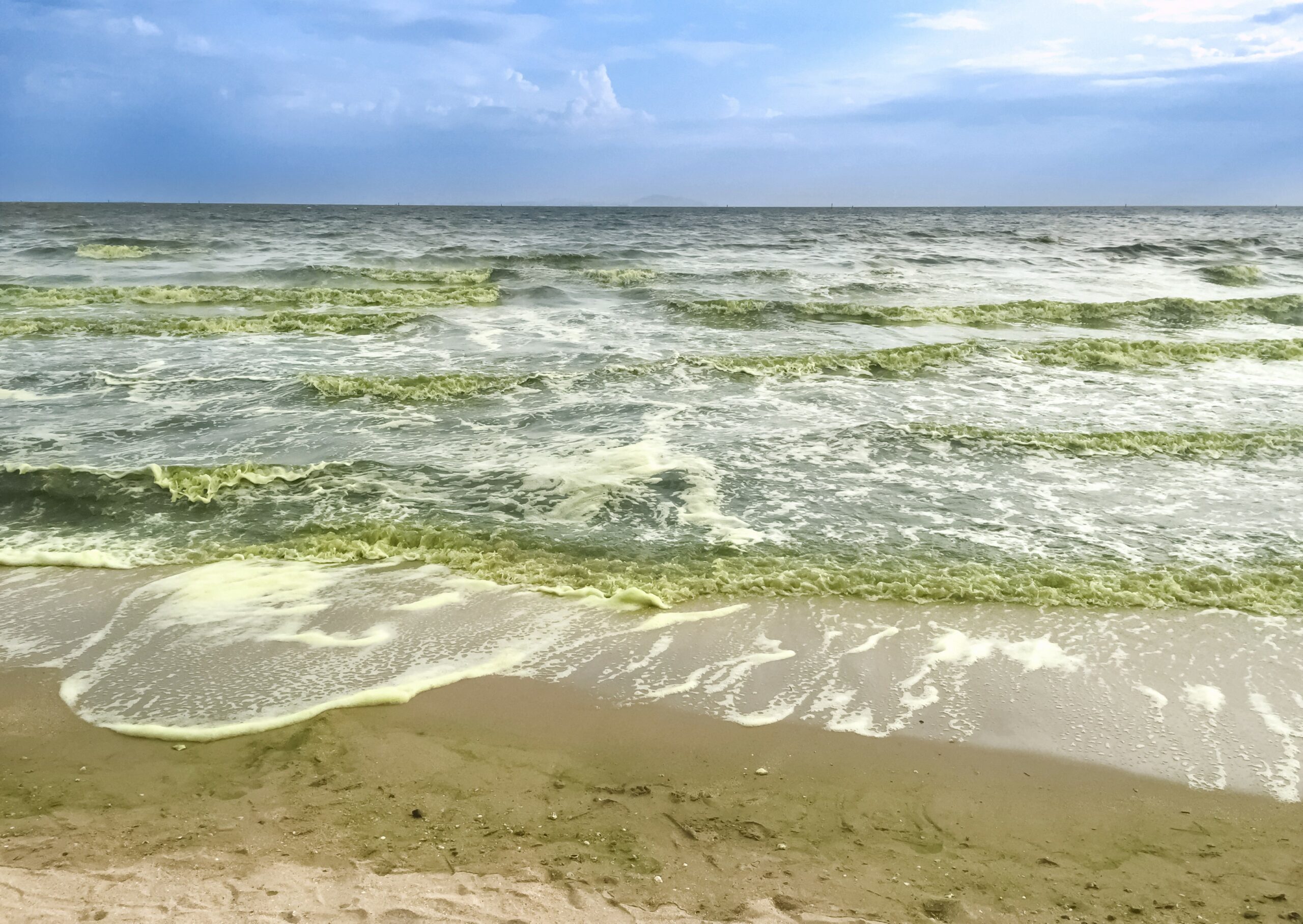 Climate change will affect the timing of plankton blooms - Earth.com