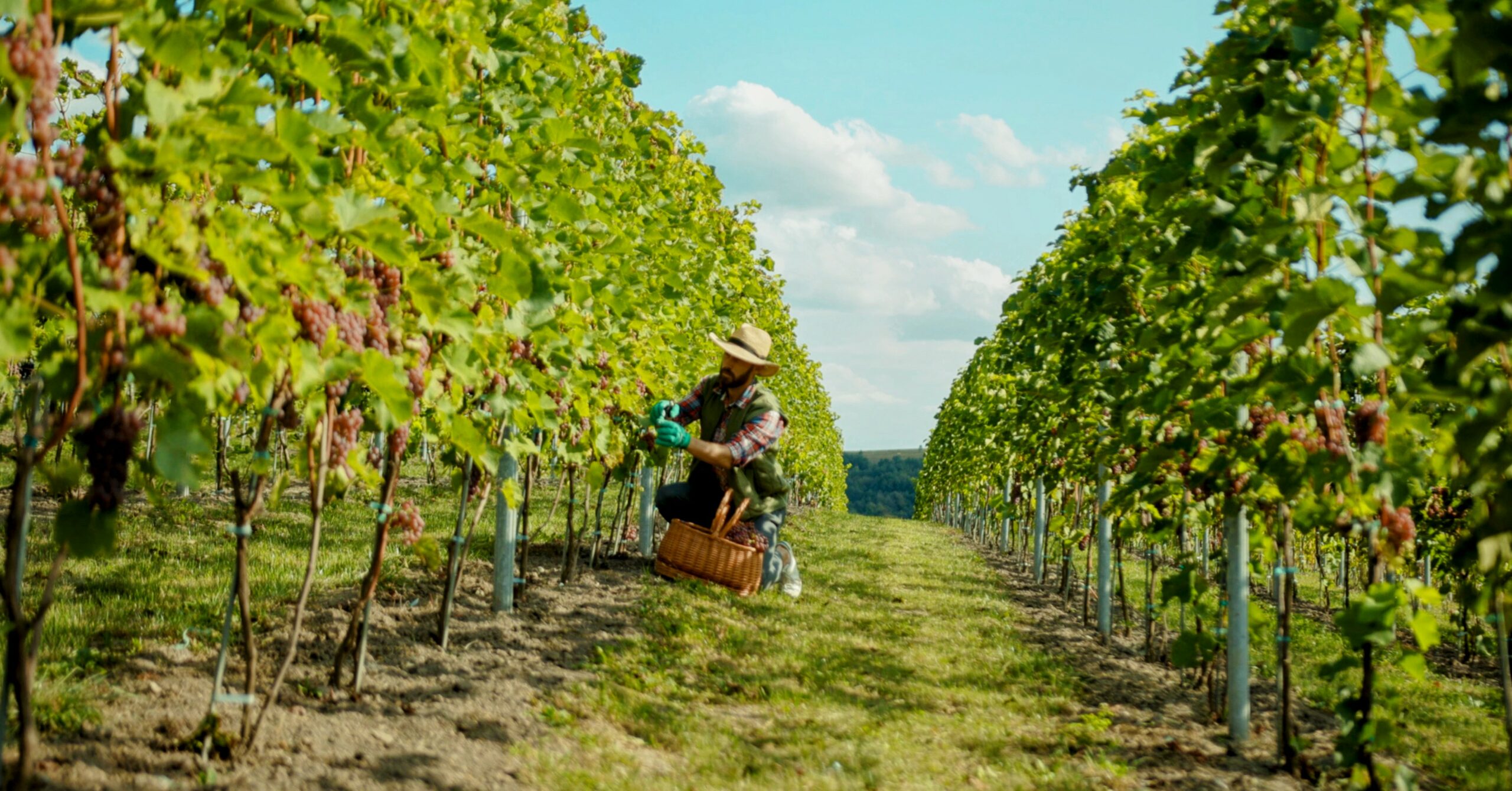 Extreme heat poses extreme risks for outdoor workers - Earth.com