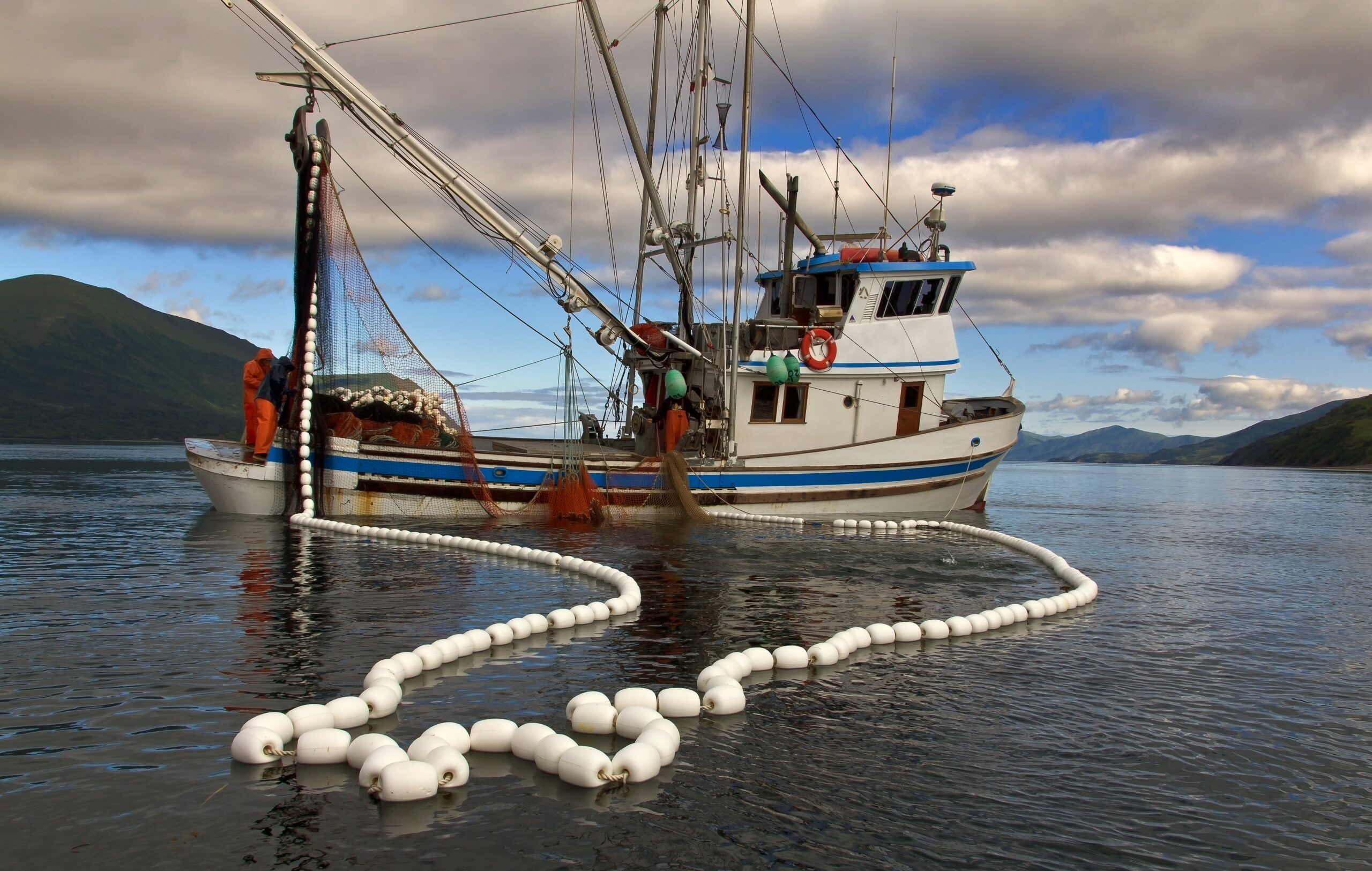 Seafood trade takes fish away from malnourished populations - Earth.com