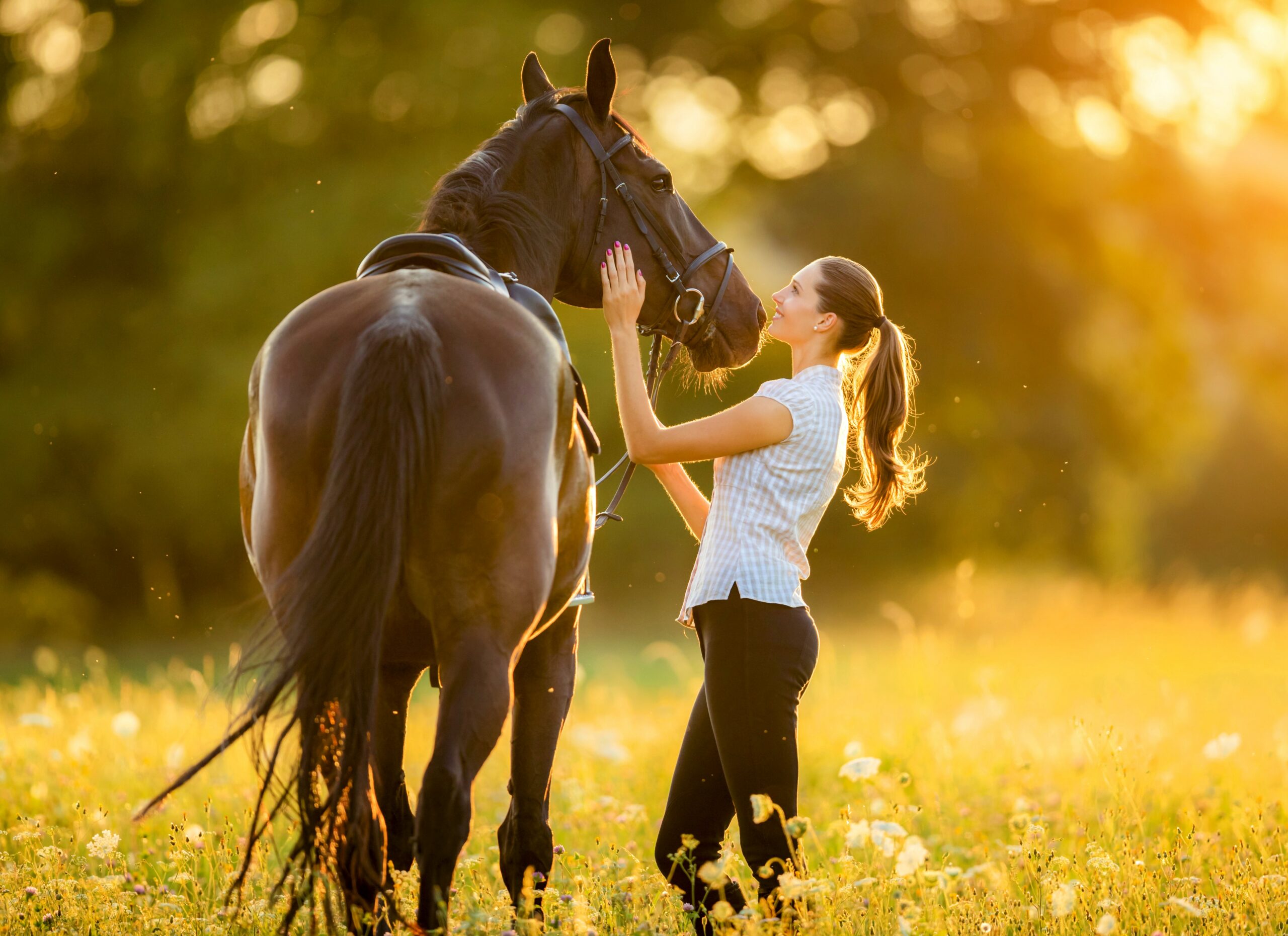 Animals are affected by the emotions in human voices - Earth.com