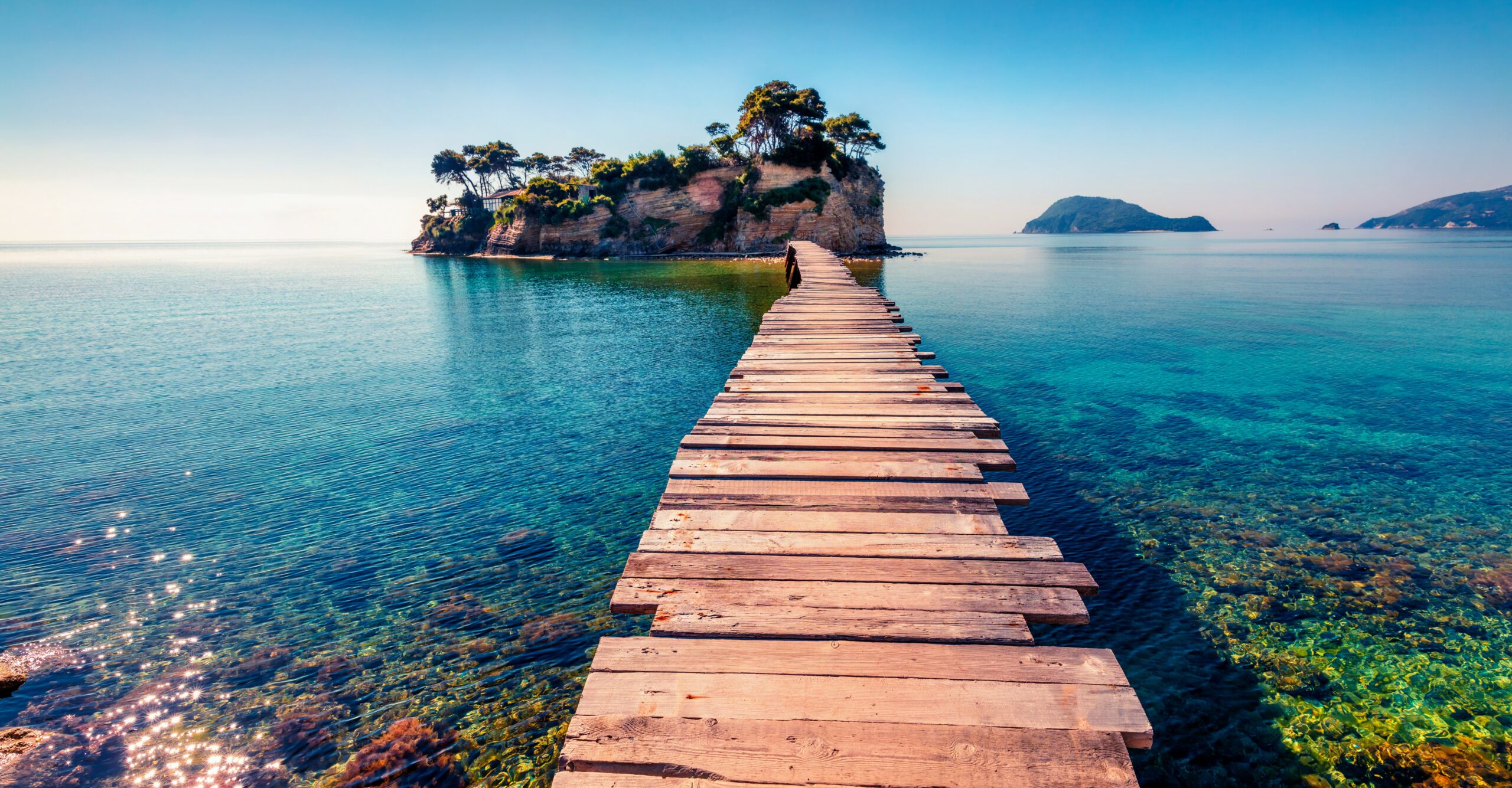 Protecting nature from catastrophe: it's "now or never" - Earth.com