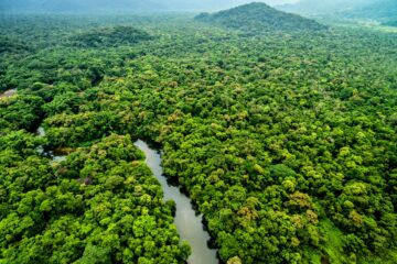 Lost cities in the Amazon were built in harmony with nature • Earth.com