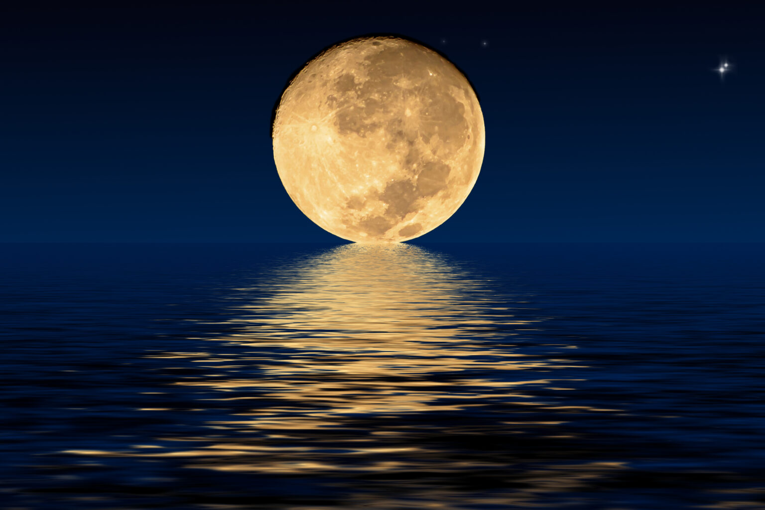 How moonlight affects the circadian clocks of animals • Earth.com