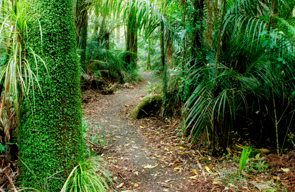 Exotic tree plantations often disturb local wildlife - Earth.com