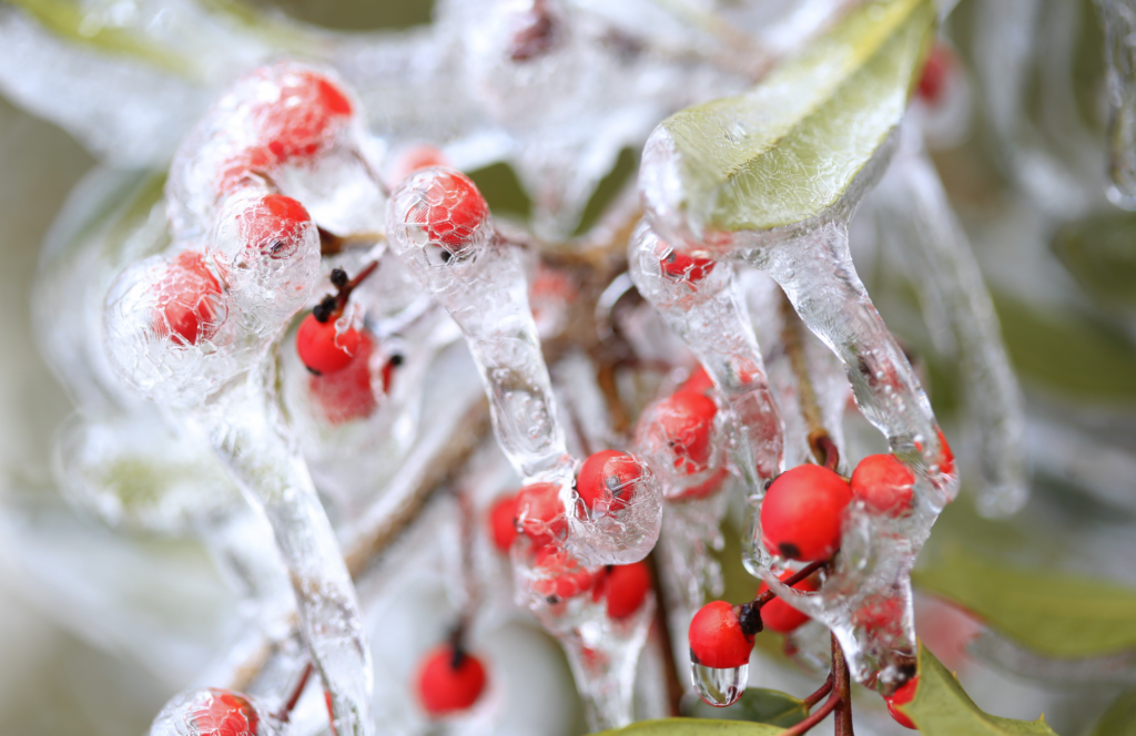 Air pollution increases freezing rain in the Northern Hemisphere ...