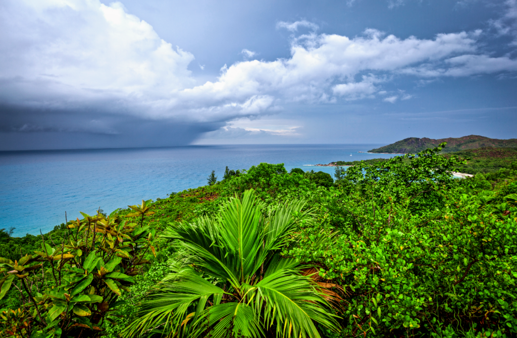 Tropical thunderstorms trigger extreme cold events in China - Earth.com