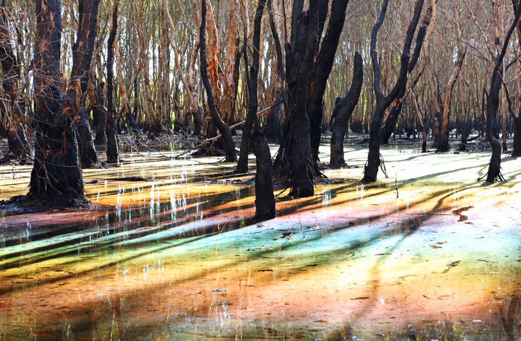 Majority of the world’s oil slicks caused by human activity - Earth.com